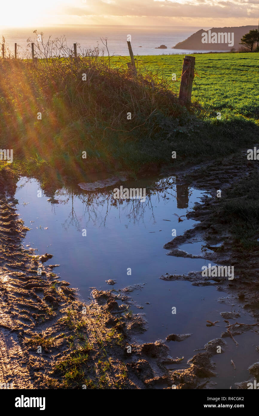 Muddy puddle hi-res stock photography and images - Alamy