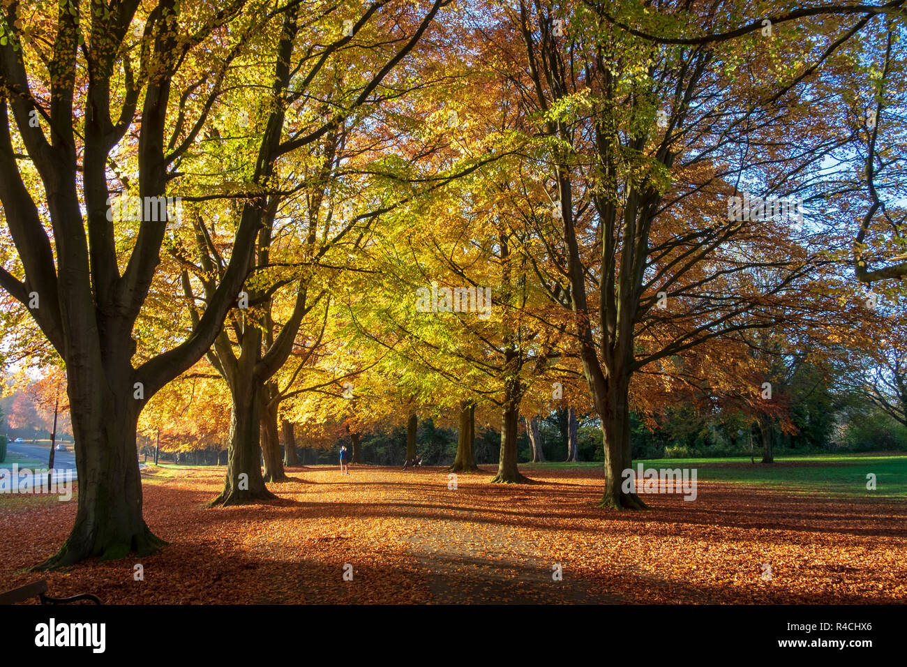 Bristol promenade hi-res stock photography and images - Alamy