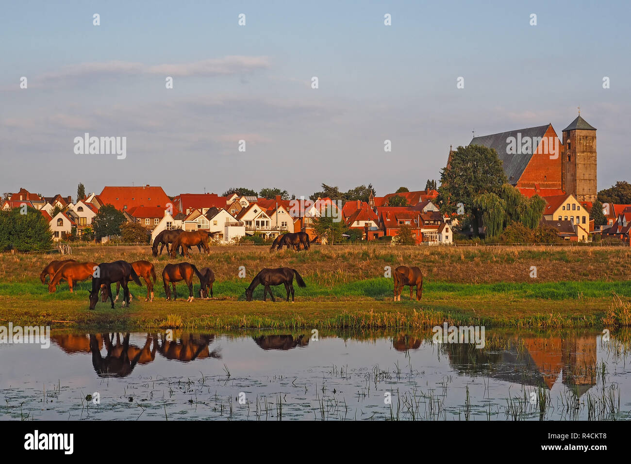 Cityscape of city Verden at river Aller, Lower Saxony, Germany Stock ...