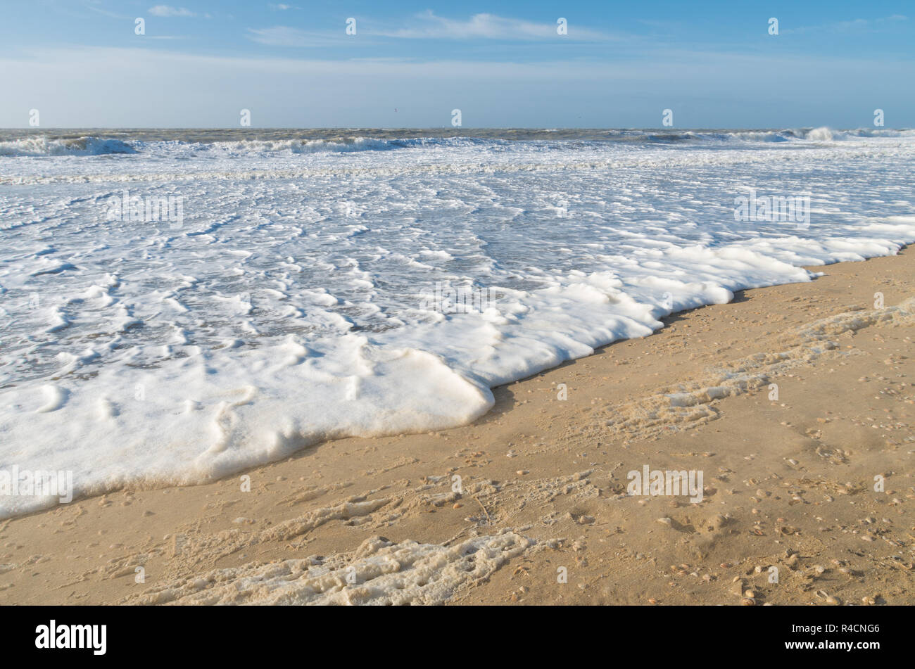 Clam ocean waves hi-res stock photography and images - Alamy