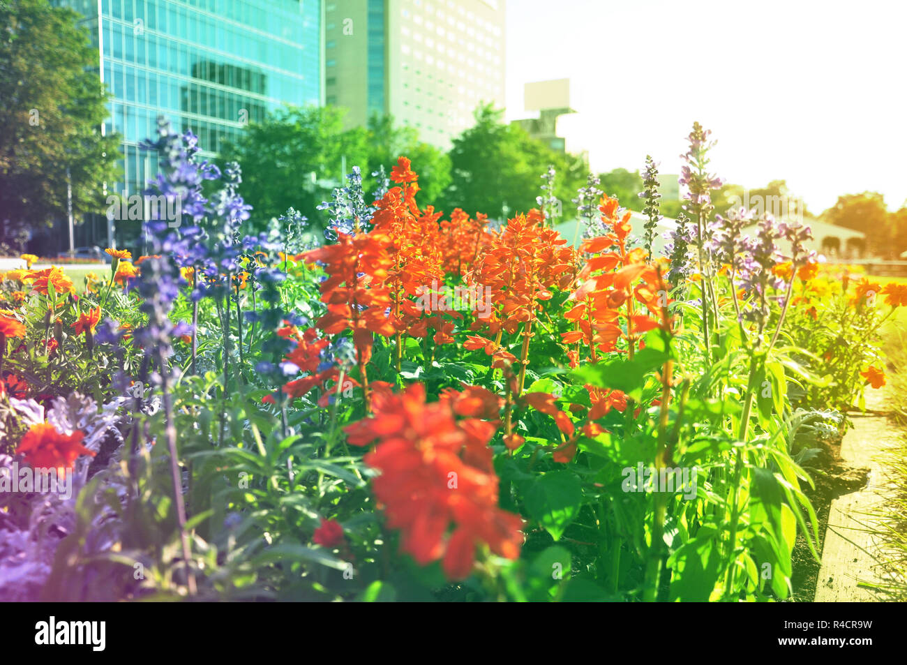 Beautiful color sunset hi-res stock photography and images - Alamy