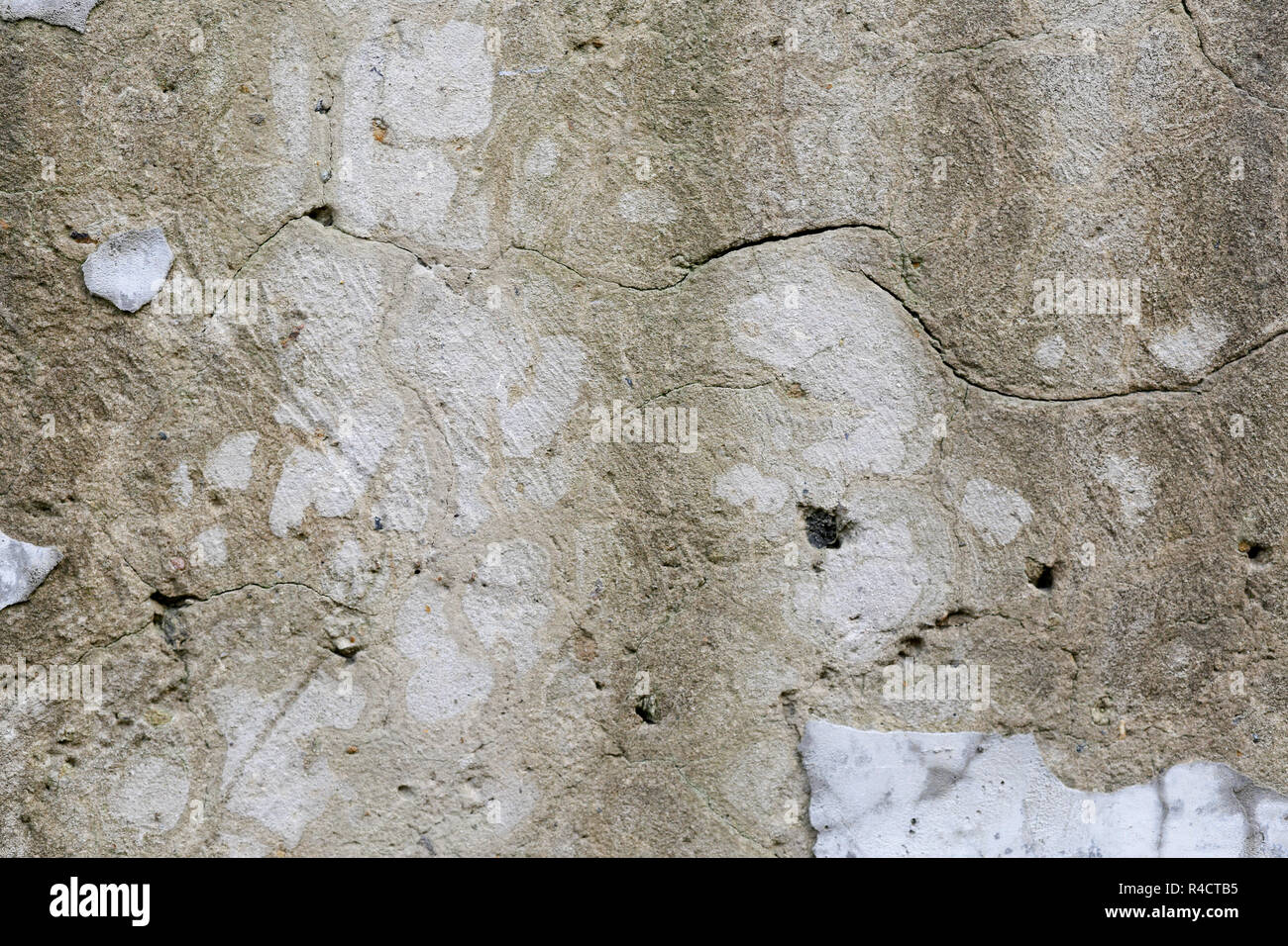 rough gray color wall texture Stock Photo - Alamy