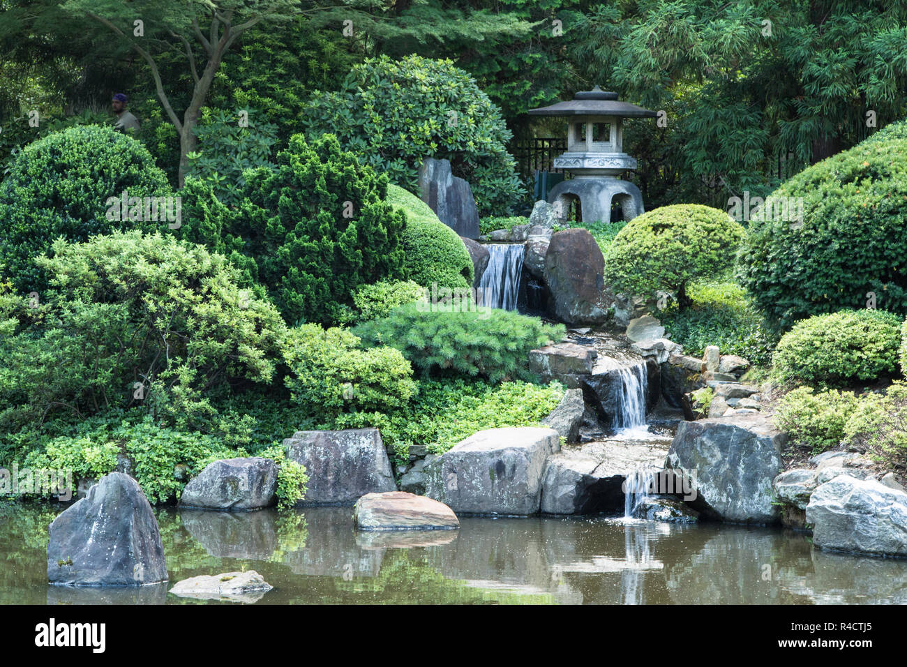 Japanese Water Garden