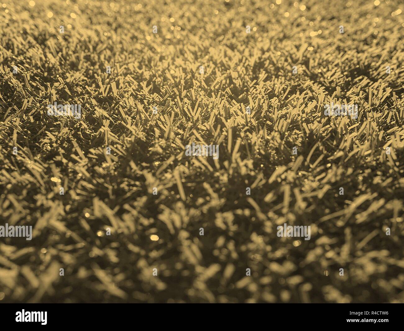 Artificial grass sepia Stock Photo - Alamy