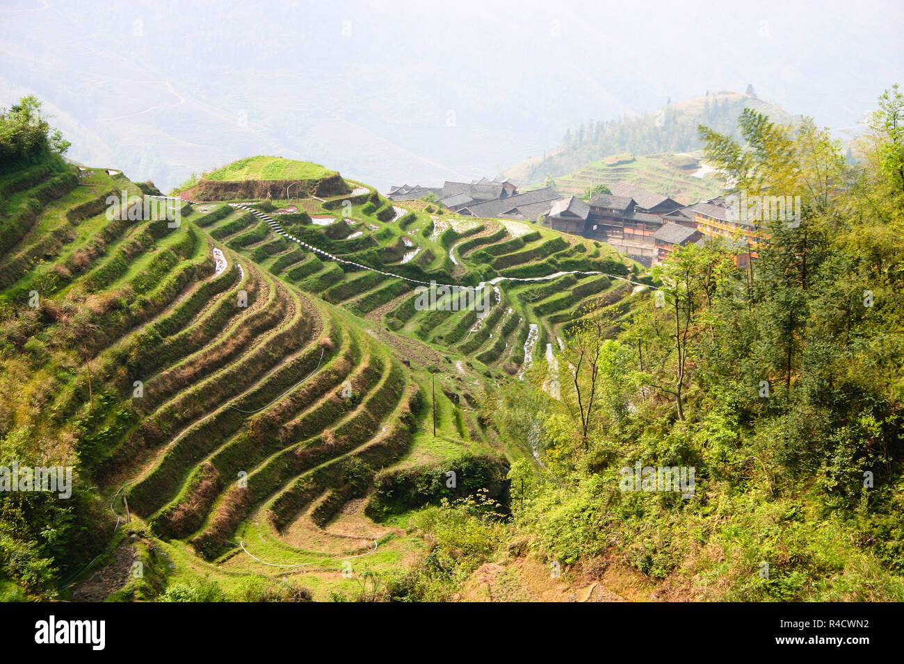 Longji Rice Terraces Stock Photo - Alamy