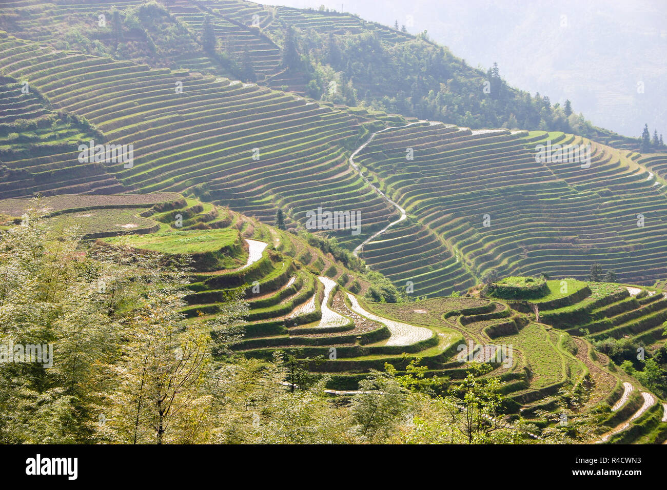 Longji china hiking hi-res stock photography and images - Alamy