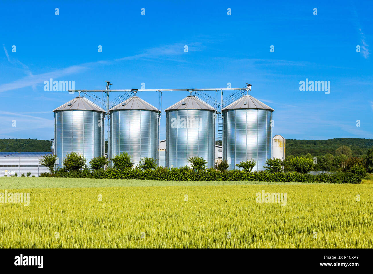 four silver silos in field under bright sky Stock Photo - Alamy