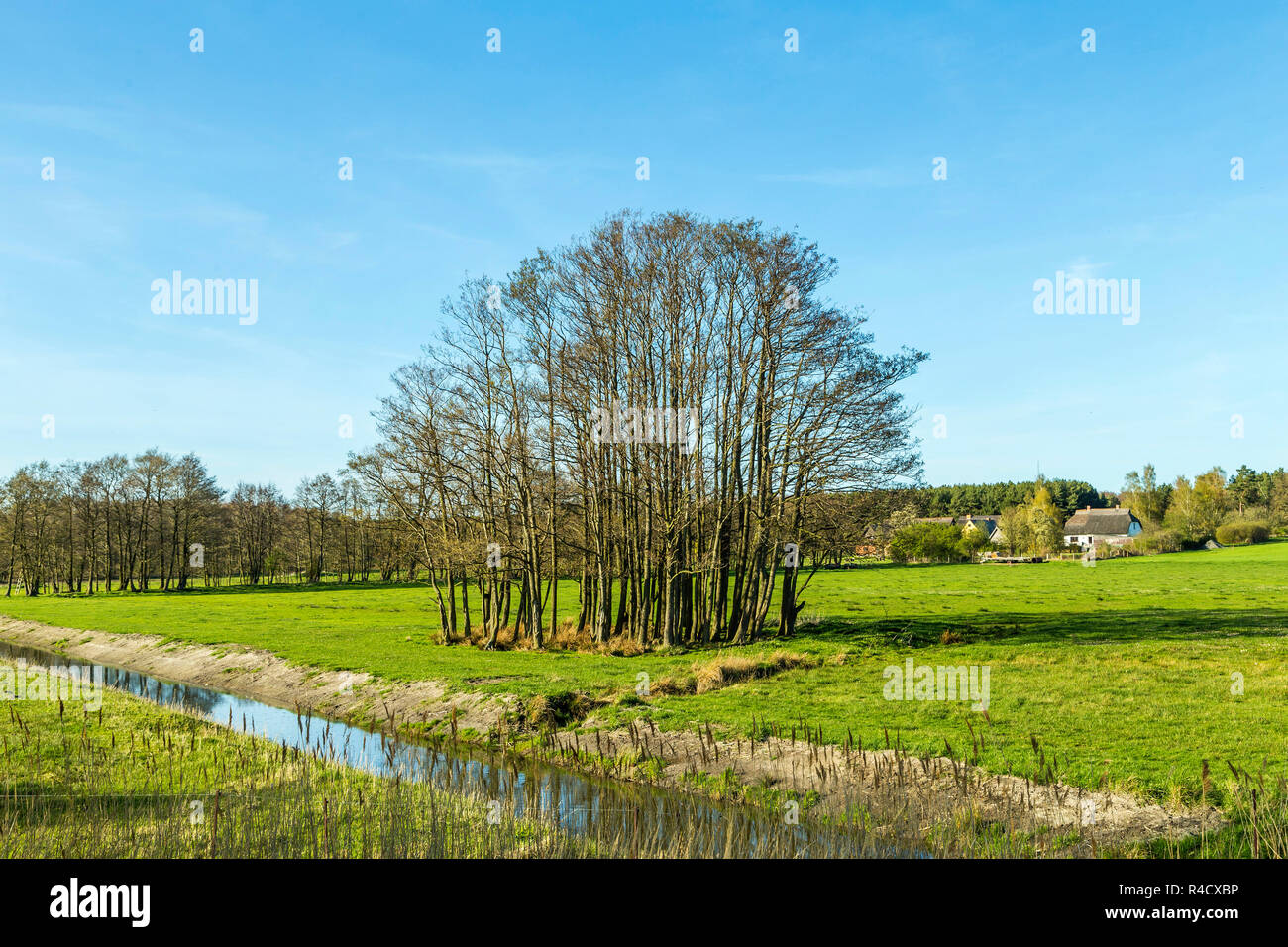 German creek embankment hi-res stock photography and images - Alamy