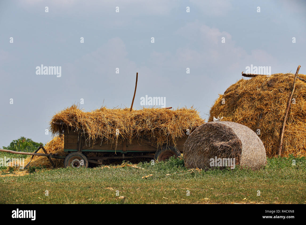 Bale hay wagon wheel hi-res stock photography and images - Alamy