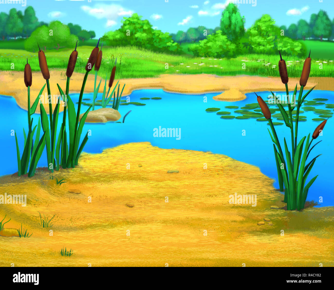 Reeds by the River in a Summer Day Stock Photo - Alamy