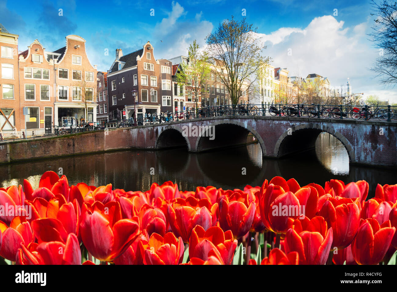 Dutch scenery with canal and mirror reflections at spring with flowers ...