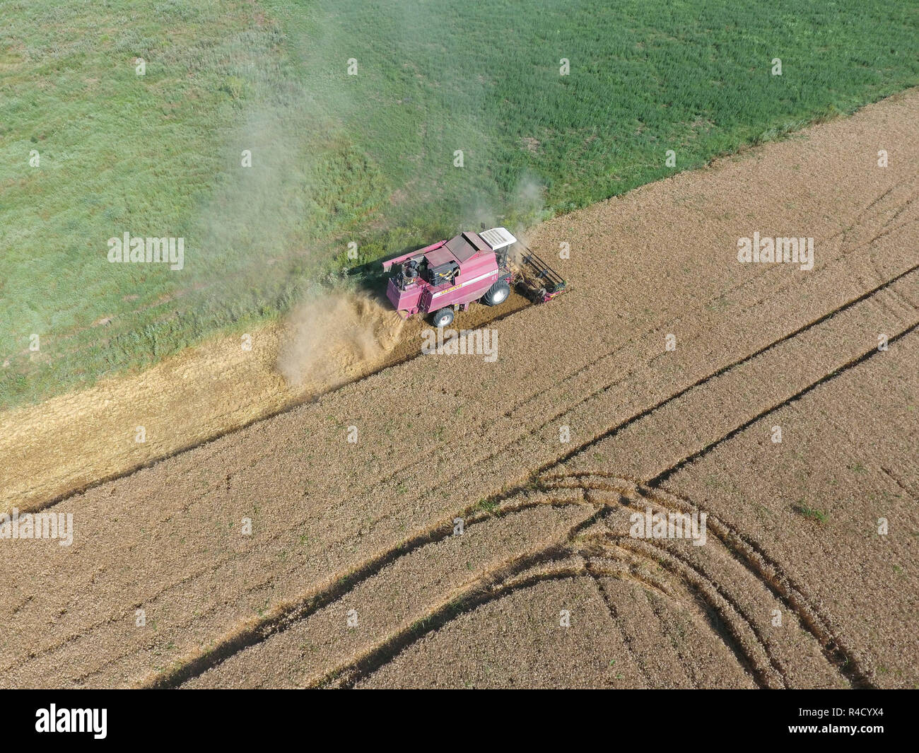 Cleaning wheat harvester Stock Photo - Alamy