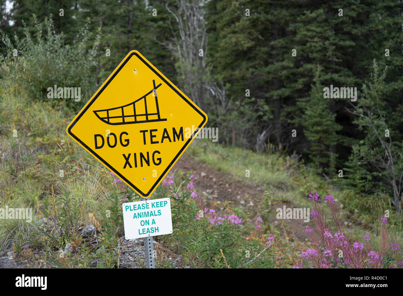 Dog Team Xing - Dog Sled team crossing road sign in Alaska Stock Photo ...