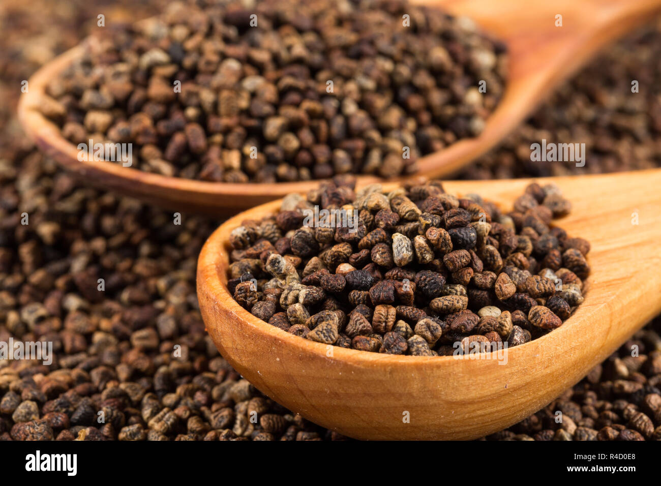 Decorticated hi-res stock photography and images - Alamy