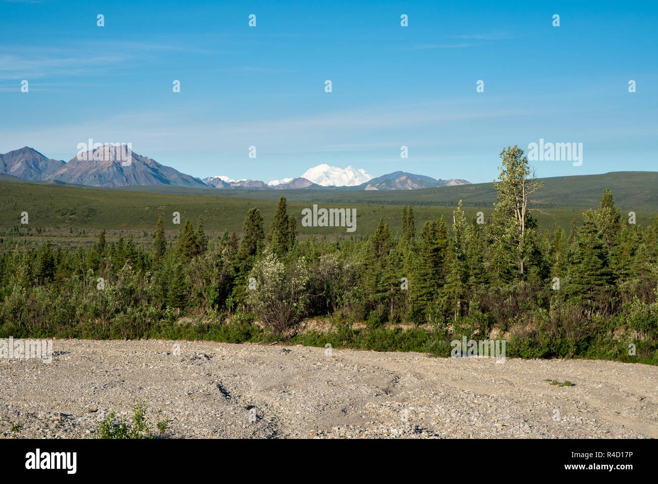 Clear unobstructed view of Mt Denali - (Mt McKinley) in Denali National ...