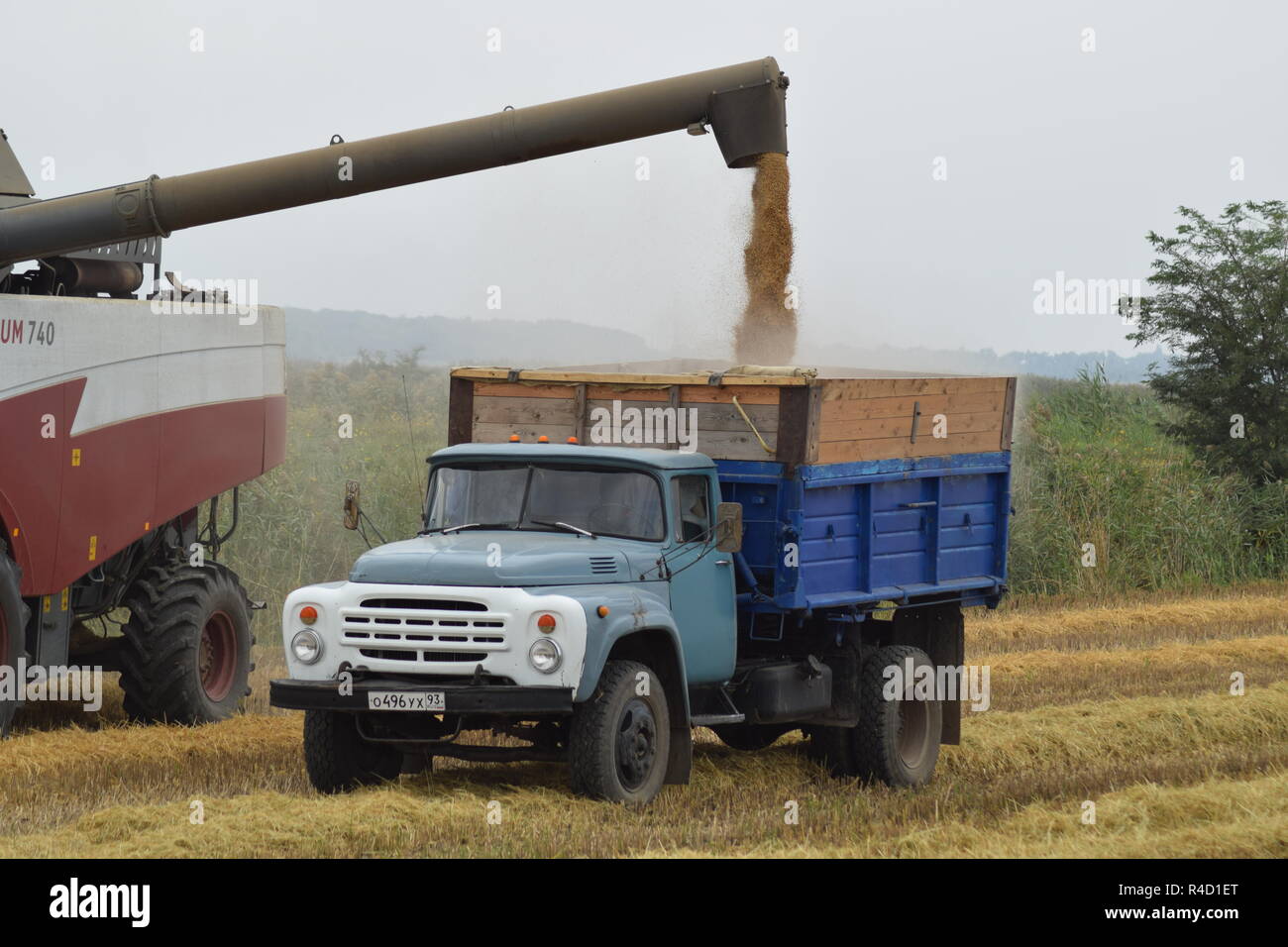 Unloading grain from a combine into a truck Stock Photo - Alamy