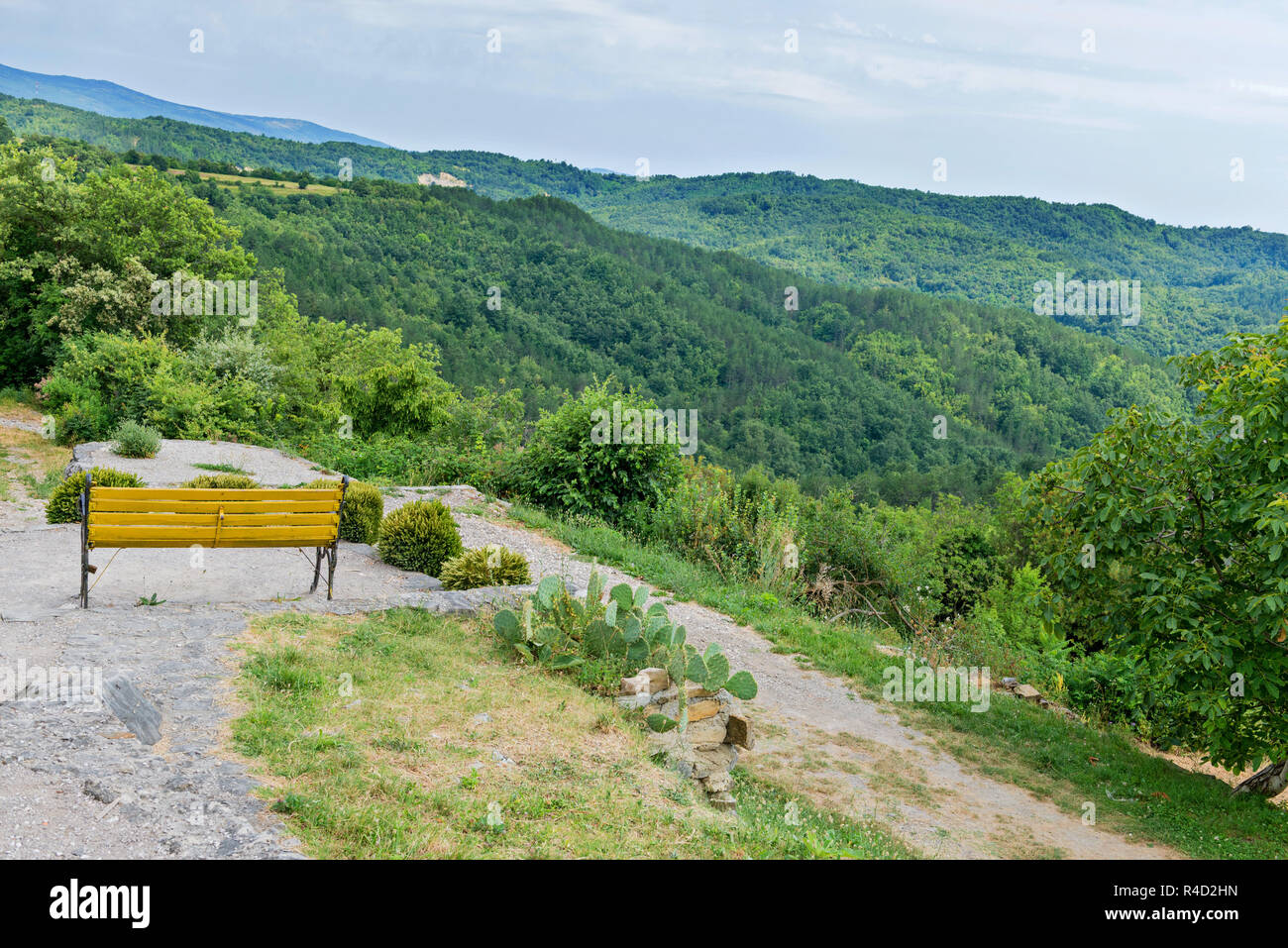 Bench with beautiful mountain forest scenery Stock Photo - Alamy