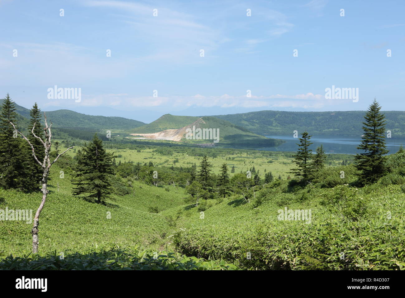 Kunasir Kurils islands Rocks Russia Stock Photo - Alamy