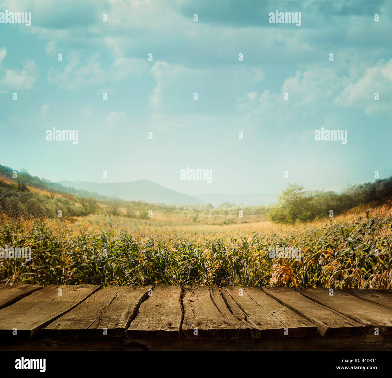 Nature background with wood planks Stock Photo - Alamy