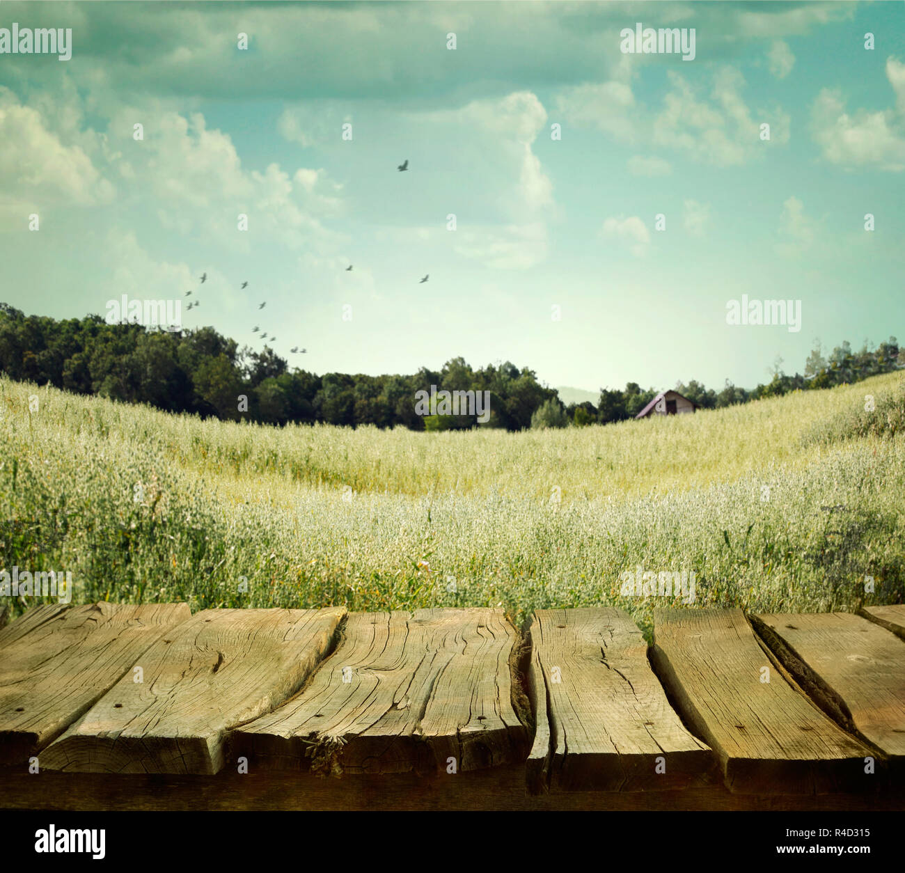 Nature background with wood planks Stock Photo - Alamy
