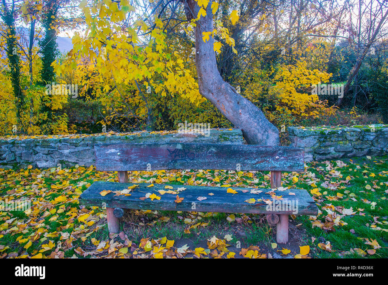 Bench in Autumn Stock Photo - Alamy