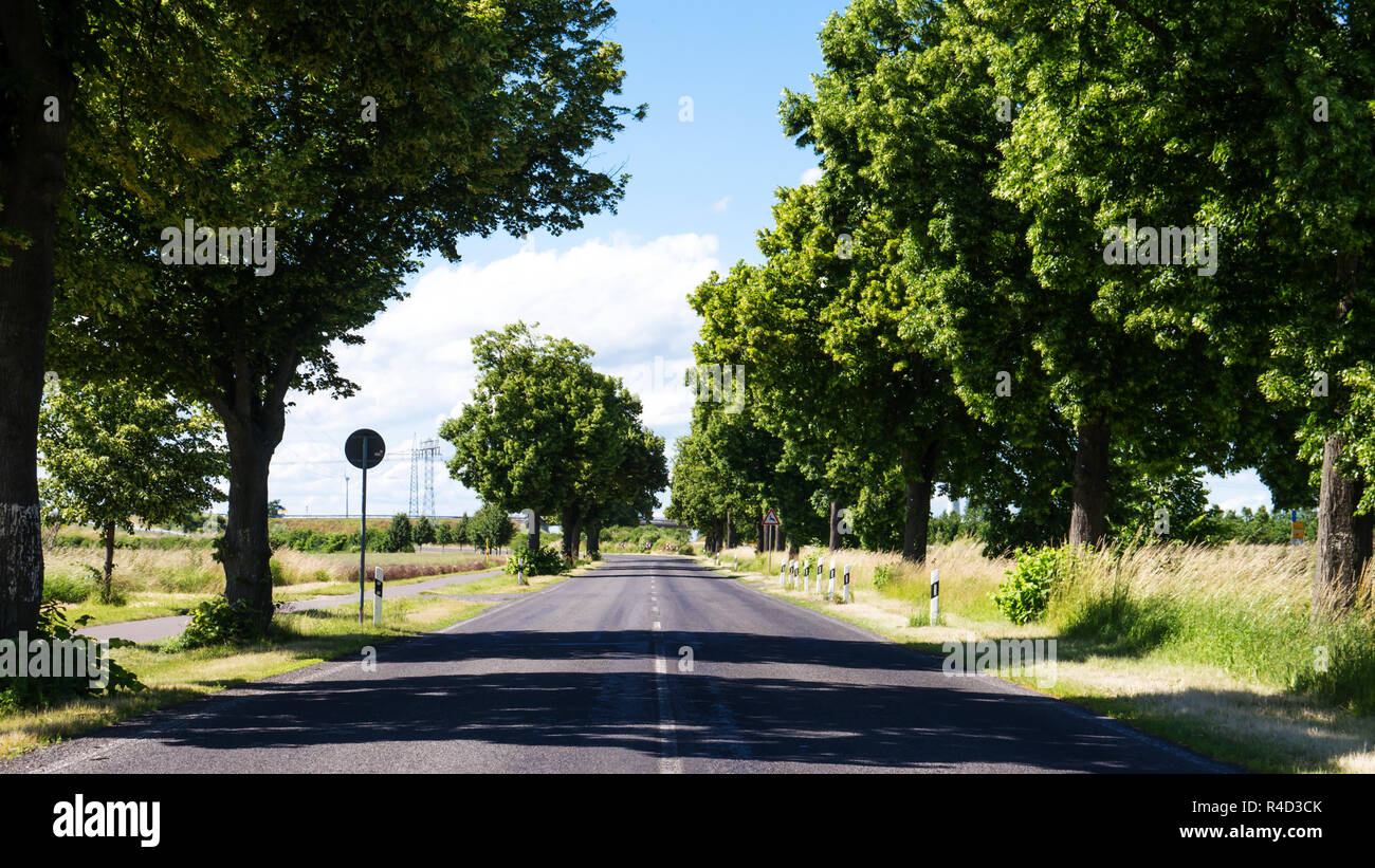 road with trees Stock Photo - Alamy