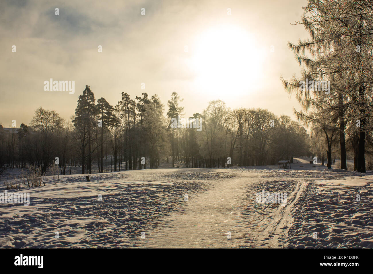 Winter landscape in clear weather. Frosty daylight at sunset Stock ...