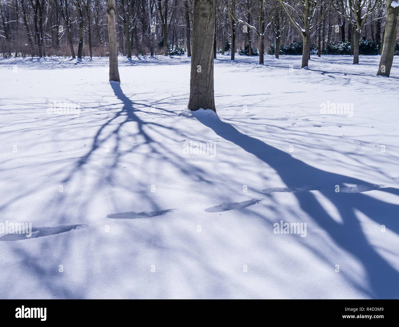 Stomps hi-res stock photography and images - Alamy