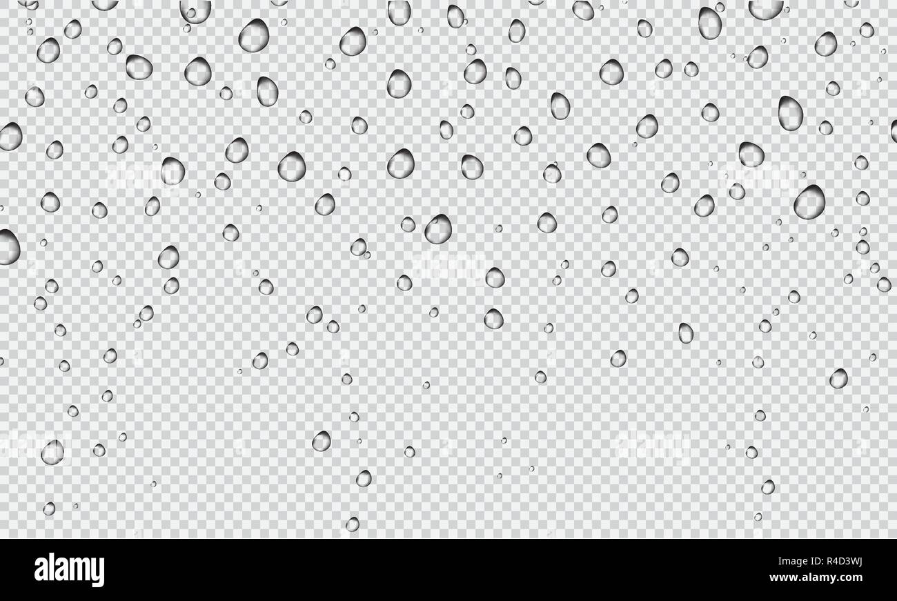 Water fizzing bubbles texture on white background. Foam effect. Vector ...
