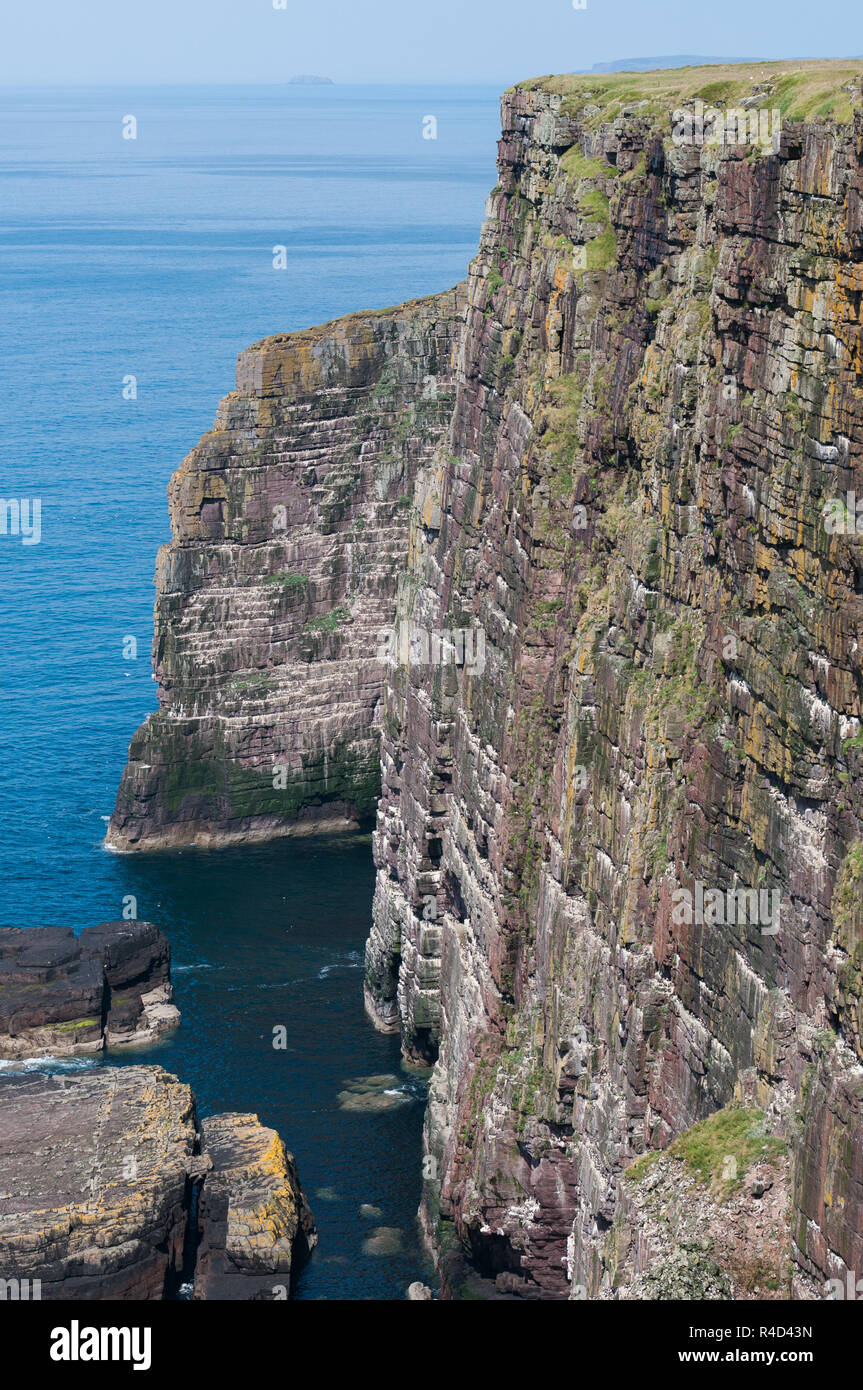 350 ft sea cliffs of torridonian sandstone on Handa Island, Scotland ...