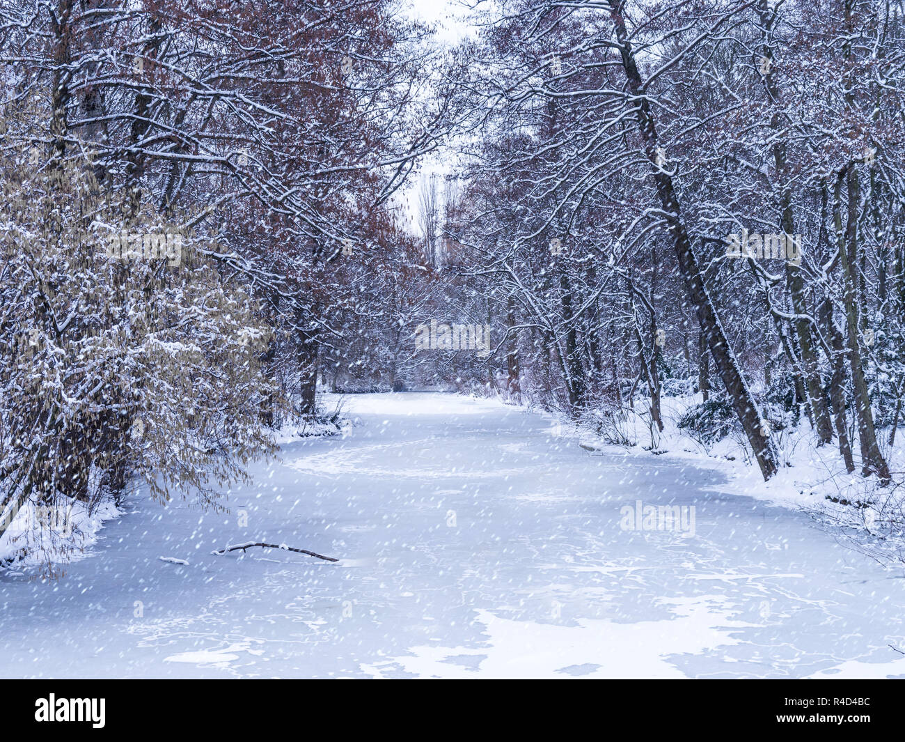 tiergarten in winter Stock Photo - Alamy
