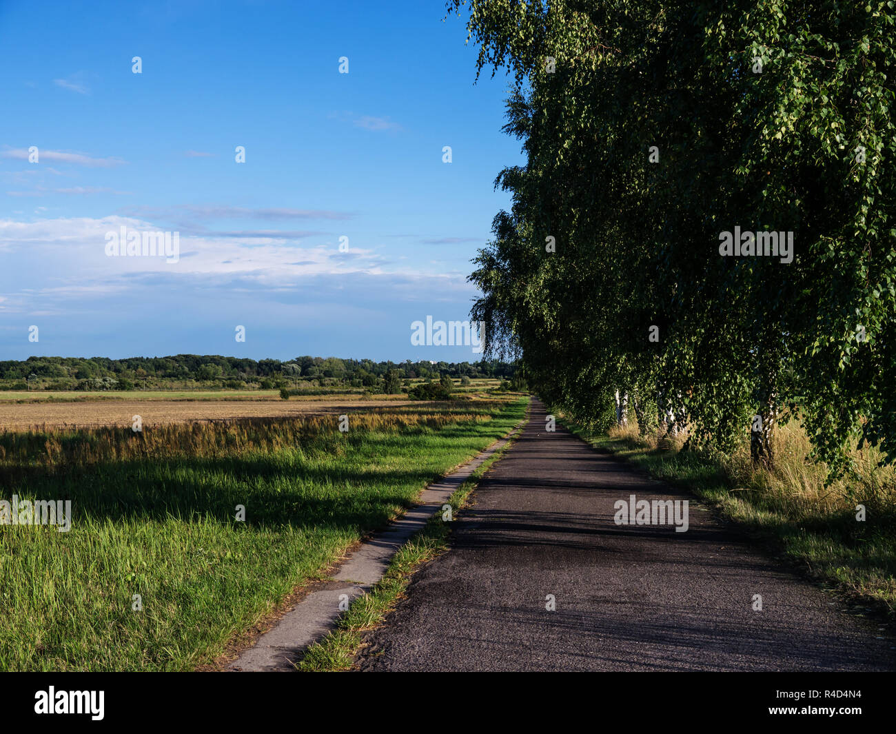 cycling way in landscape Stock Photo - Alamy
