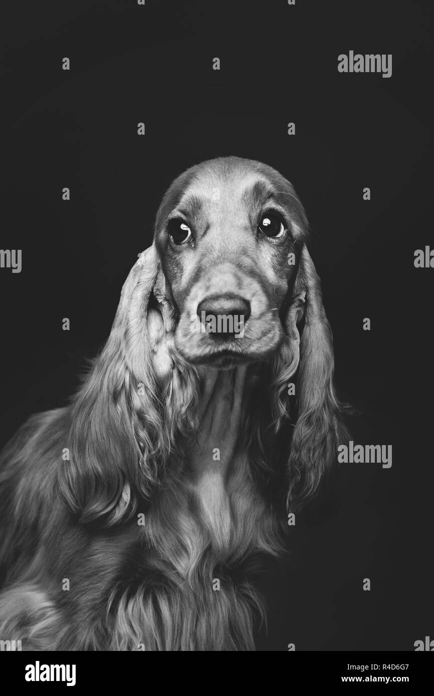 Beautiful short hair Black and White Stock Photos & Images - Alamy