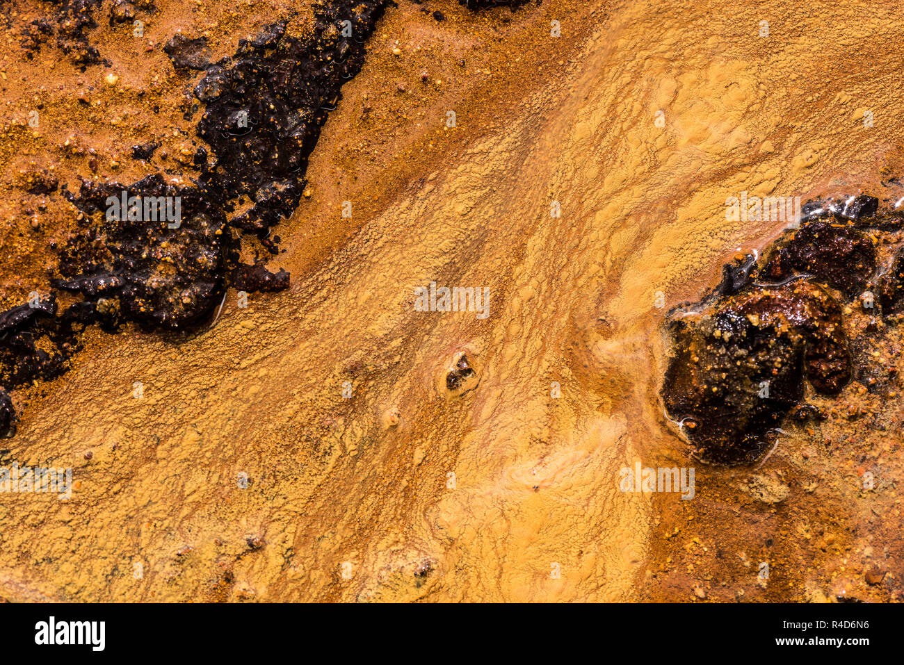Sticky Mud Stock Photos & Sticky Mud Stock Images - Alamy