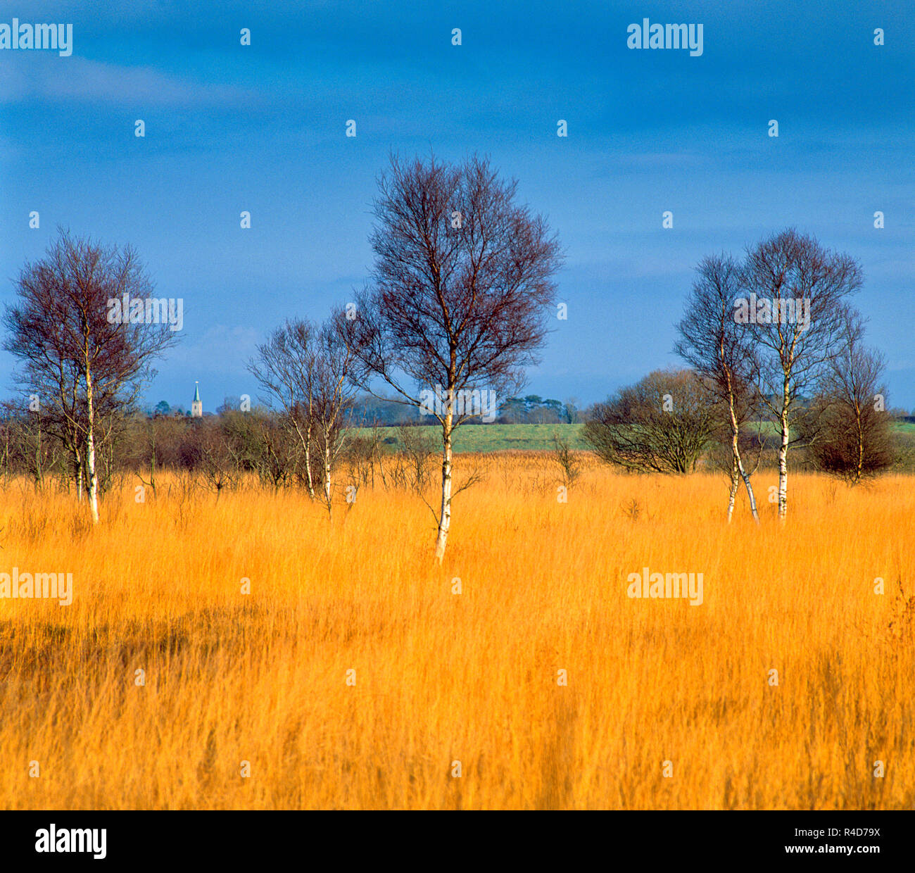 Lough Neagh In Northern Ireland High Resolution Stock Photography and ...