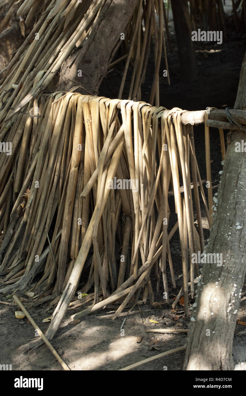 Consttruction detail of a Chumash thatched dwelling, La Purisima ...