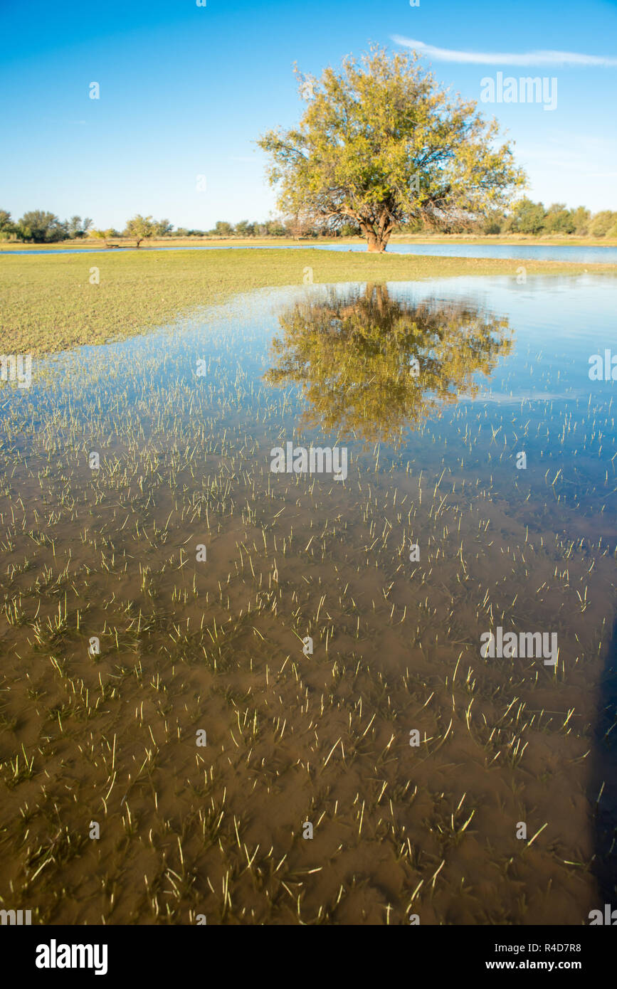 Watery countryside hi-res stock photography and images - Alamy