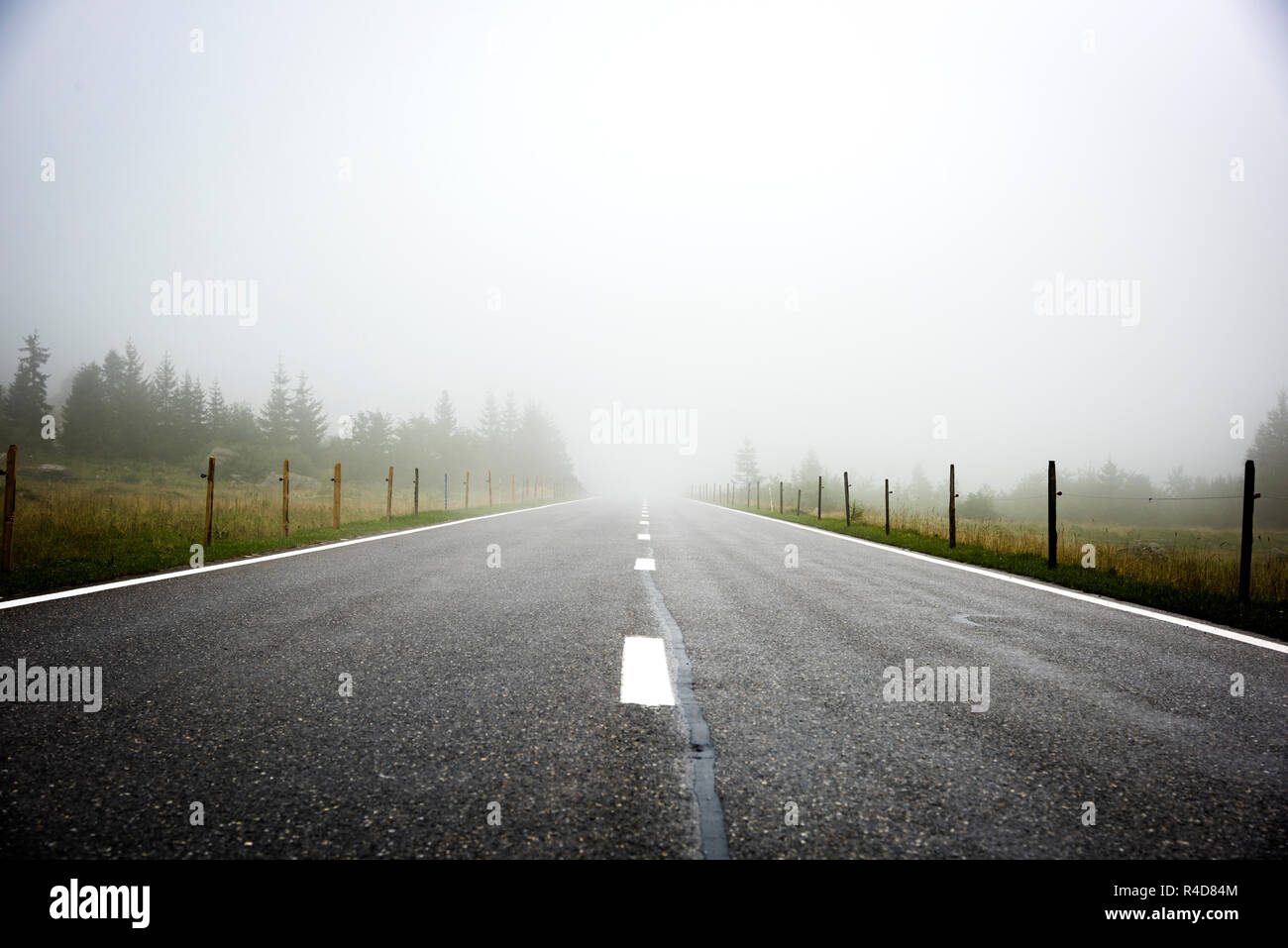 road in the fog Stock Photo - Alamy