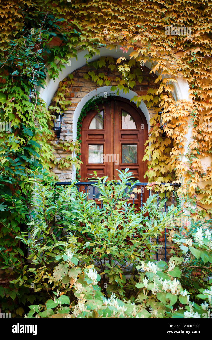Beautiful window covered with leaves. Vertical background. Architecture ...
