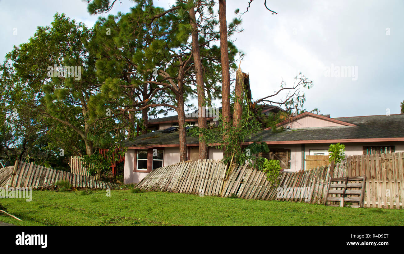 Pine tree fallen on house hi-res stock photography and images - Alamy