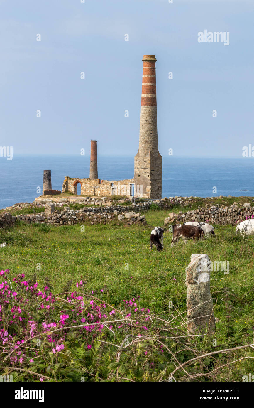 Remains of engine house chimneys at Geevor Tin Mine, Pendeen ,Cornwall ...