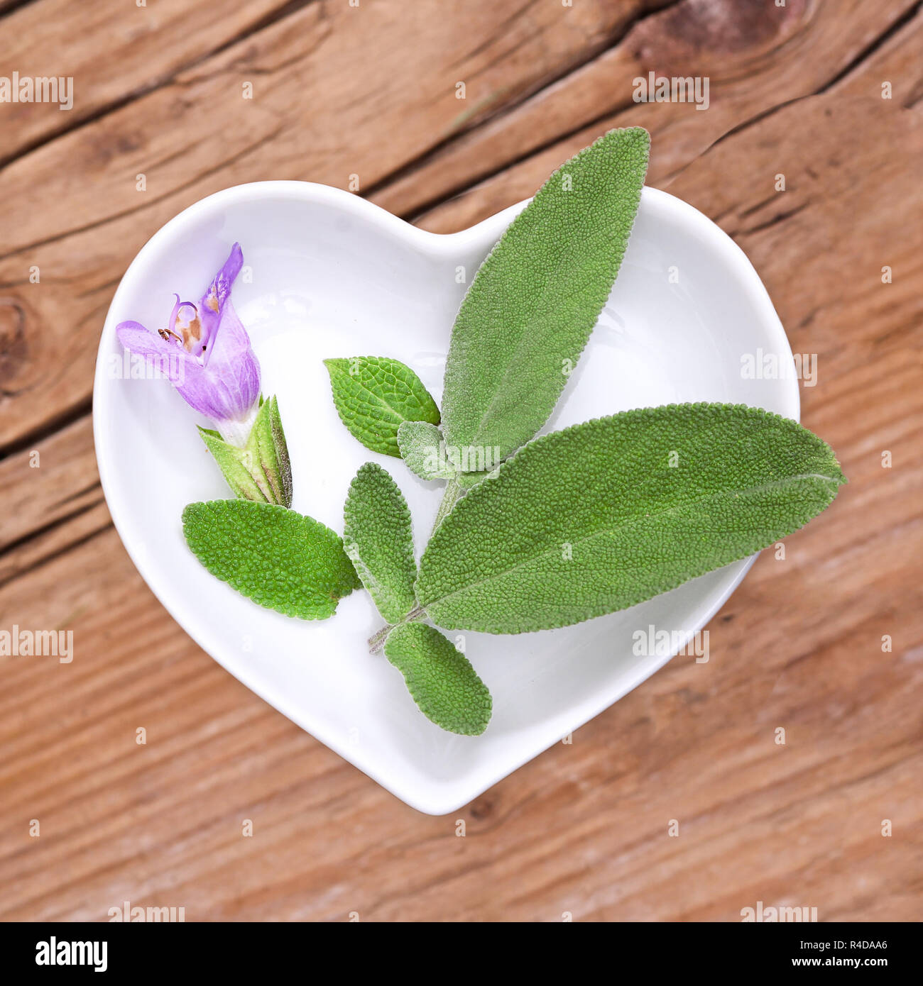 Sage tea boil hi-res stock photography and images - Alamy