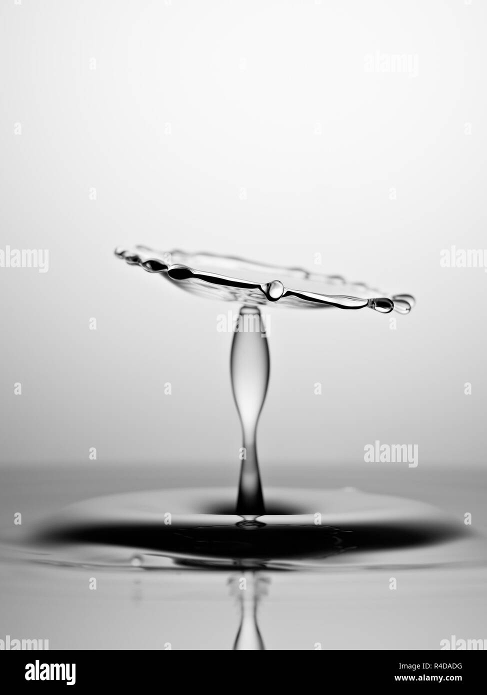 Closeup rain water drops fall Black and White Stock Photos & Images - Alamy