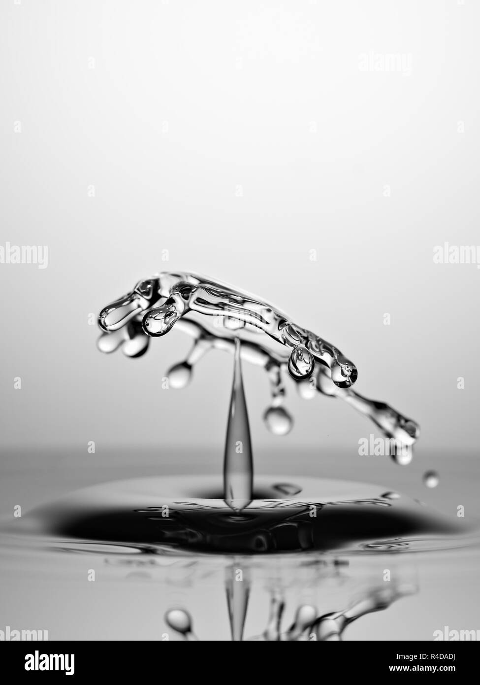 Fluid wave shape bright Black and White Stock Photos & Images - Alamy