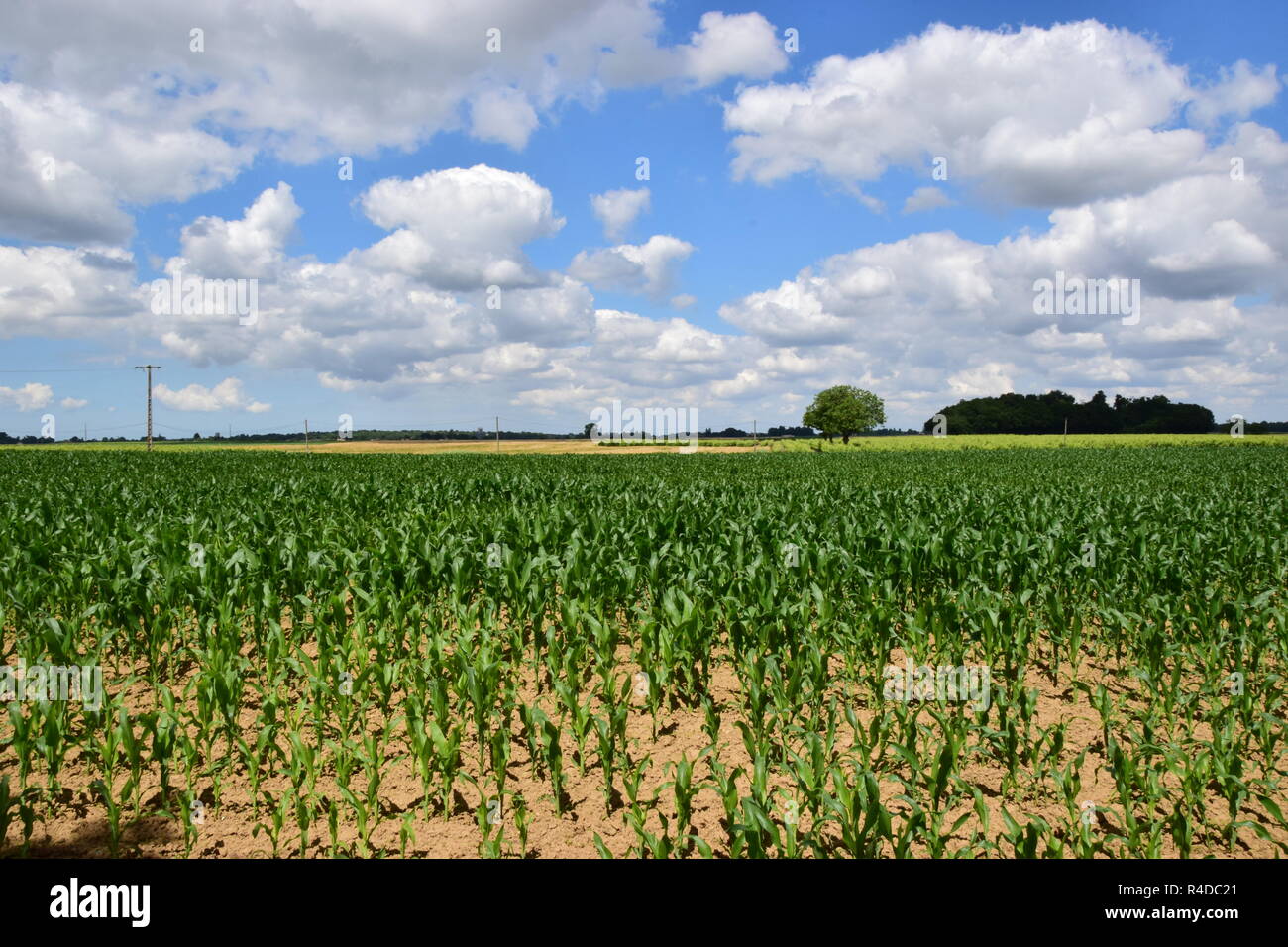 Biogas plant france hi-res stock photography and images - Alamy