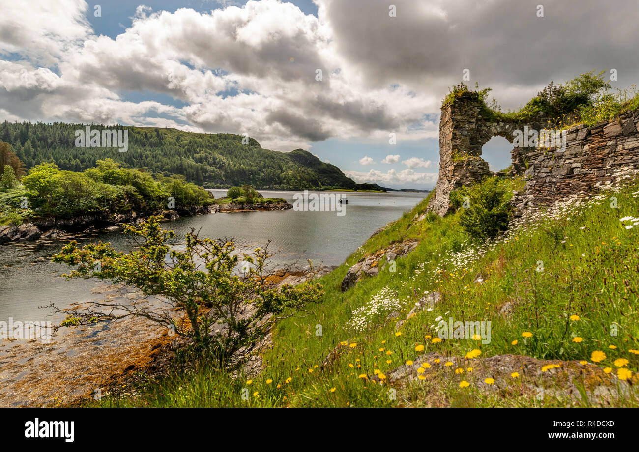 Loch carron seals hi-res stock photography and images - Alamy