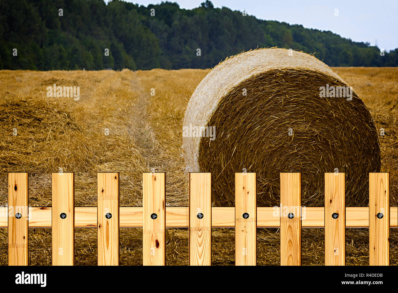 A round haystack against the blue sky on a field Stock Photo - Alamy