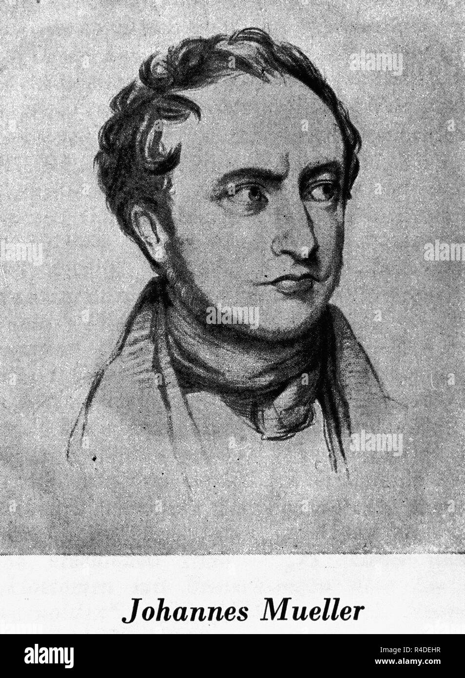 Johannes mueller hi-res stock photography and images - Alamy