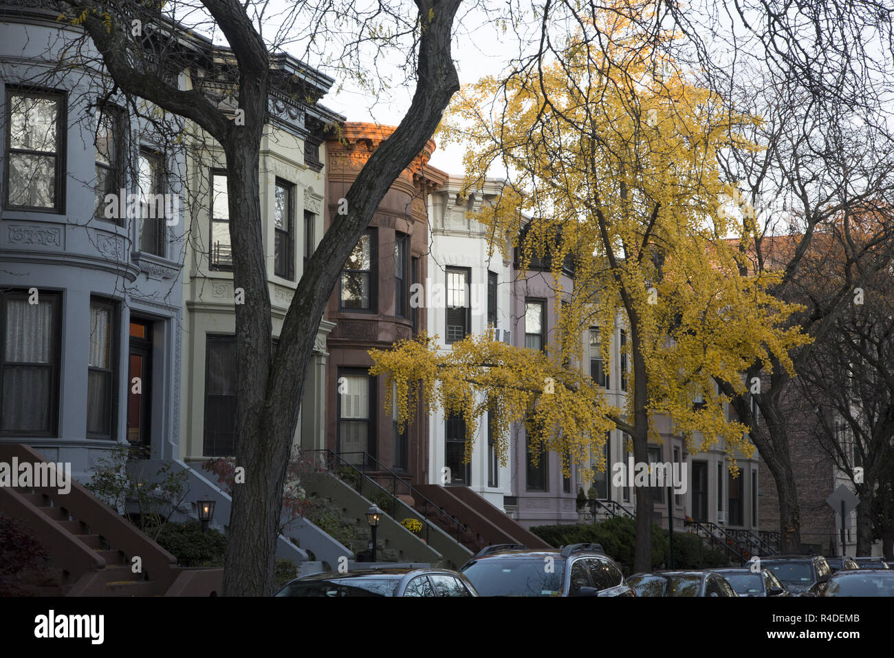 An autumn day on a classic residential brownstone street in Park Slope ...