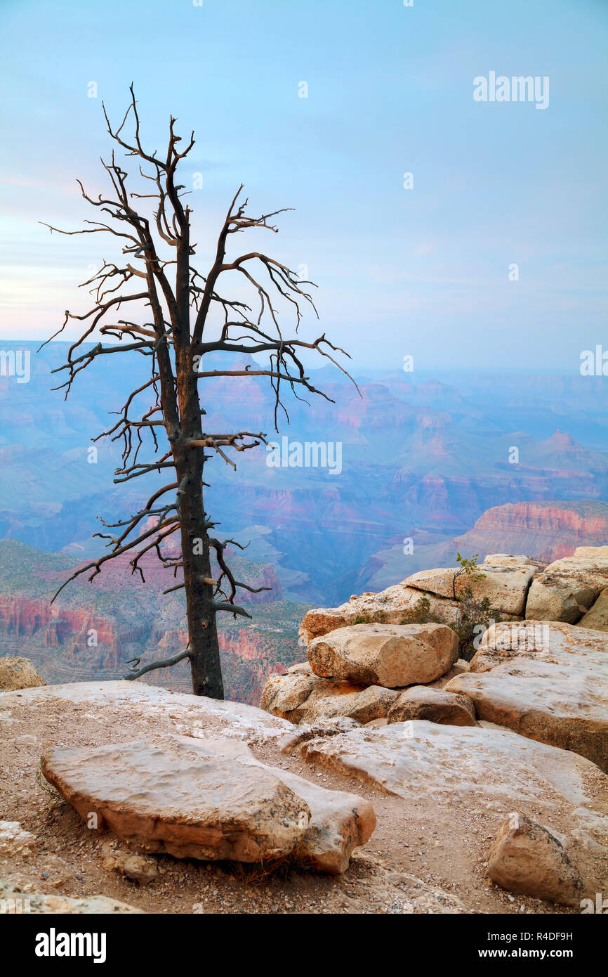 Grand Canyon National Park overview Stock Photo - Alamy